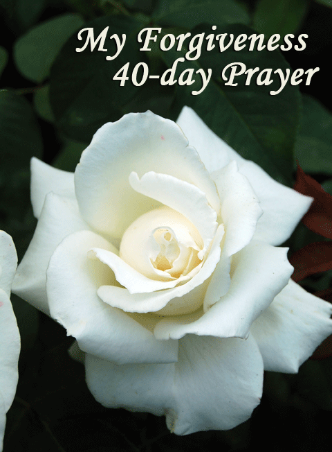 Forgiveness 40-day Prayer | Carol Chapman